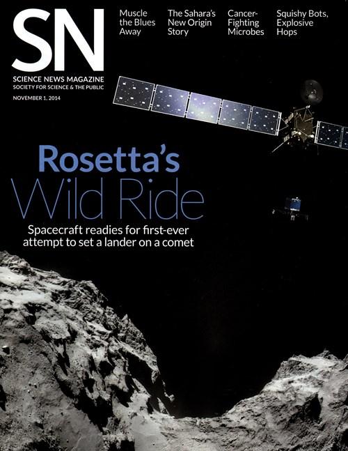 Science News Magazine Subscription Discount | The Society for Science ...