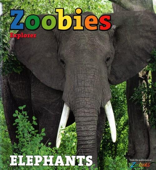 Zoobies Magazine Subscription Discount | Cute Education - DiscountMags.com