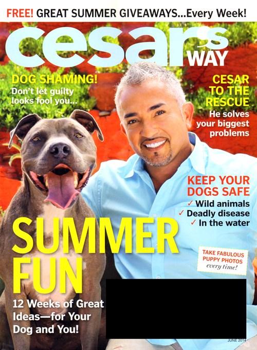 Cesar's Way Magazine Subscription Discount | Achieving Balance and ...