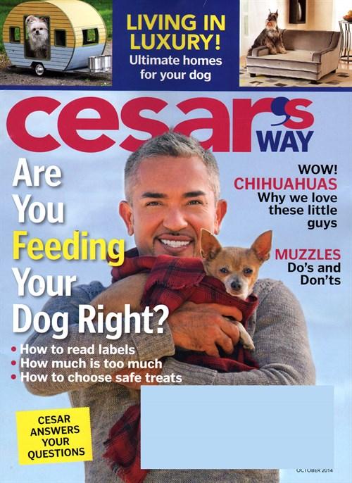 Cesar's Way Magazine Subscription Discount | Achieving Balance and ...