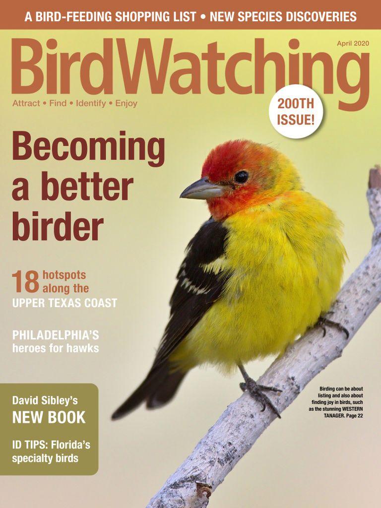 Birdwatching Magazine Subscription Discount - DiscountMags.com
