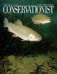 New York Conservationist Magazine Subscription Discount - DiscountMags.com